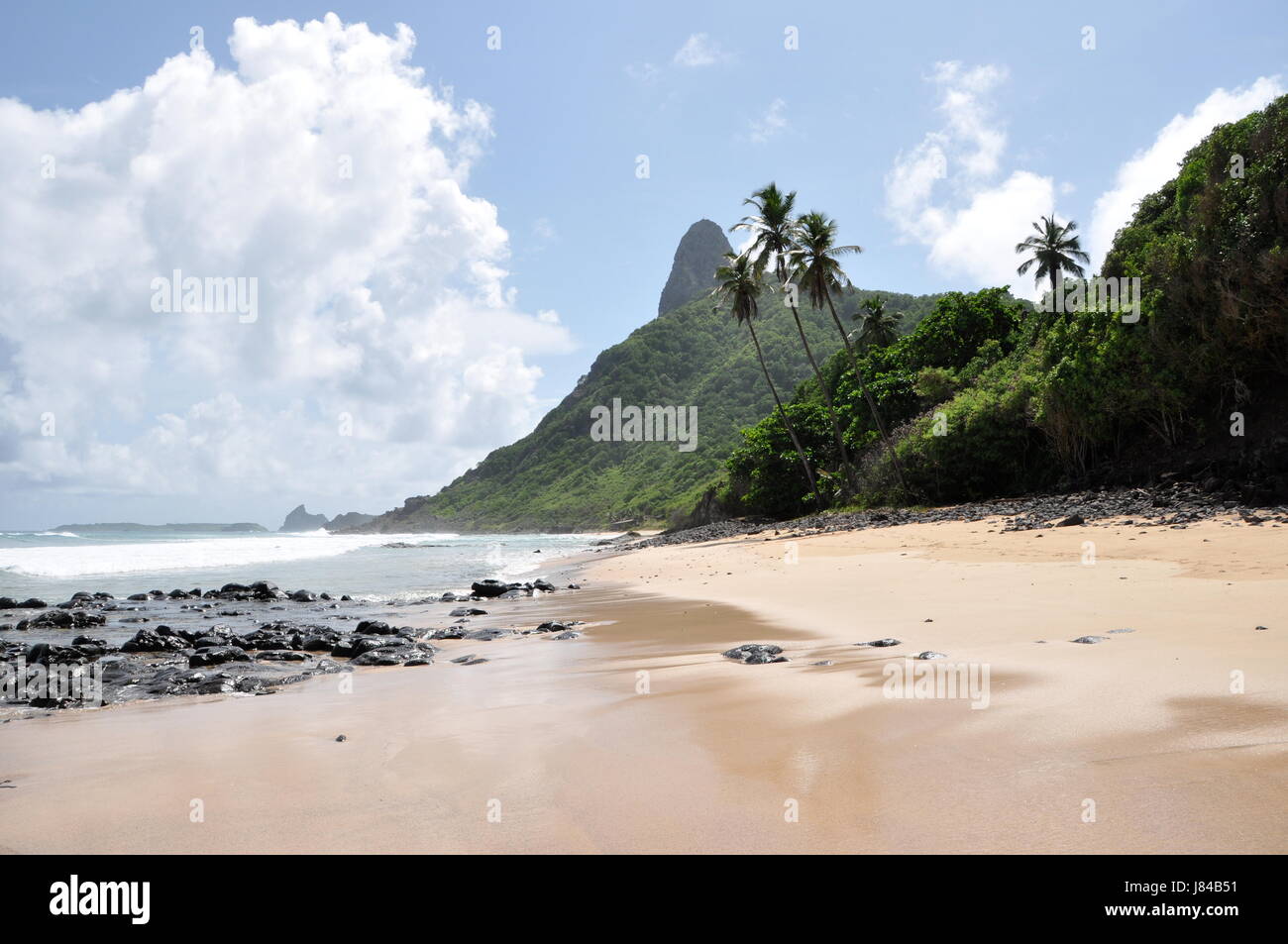 green beach seaside the beach seashore atlantic ocean salt water sea ...