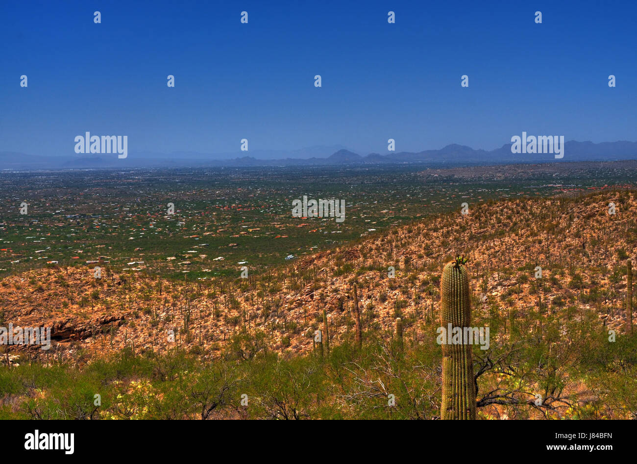 Boomtown style architecture hi-res stock photography and images - Alamy