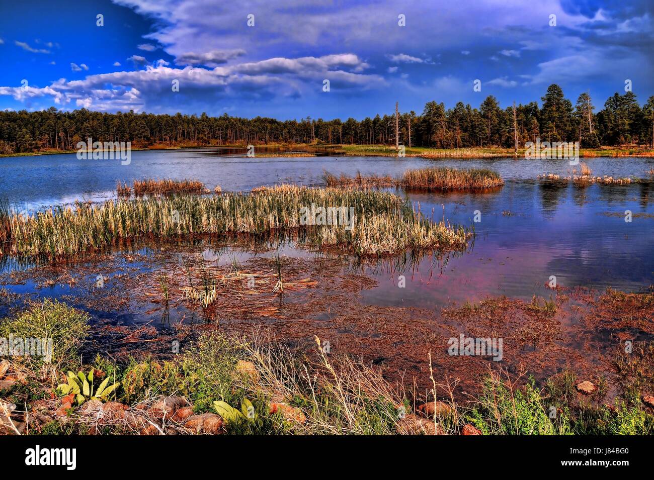 shine shines bright lucent light serene luminous wild reflection usa hot heat Stock Photo - Alamy
