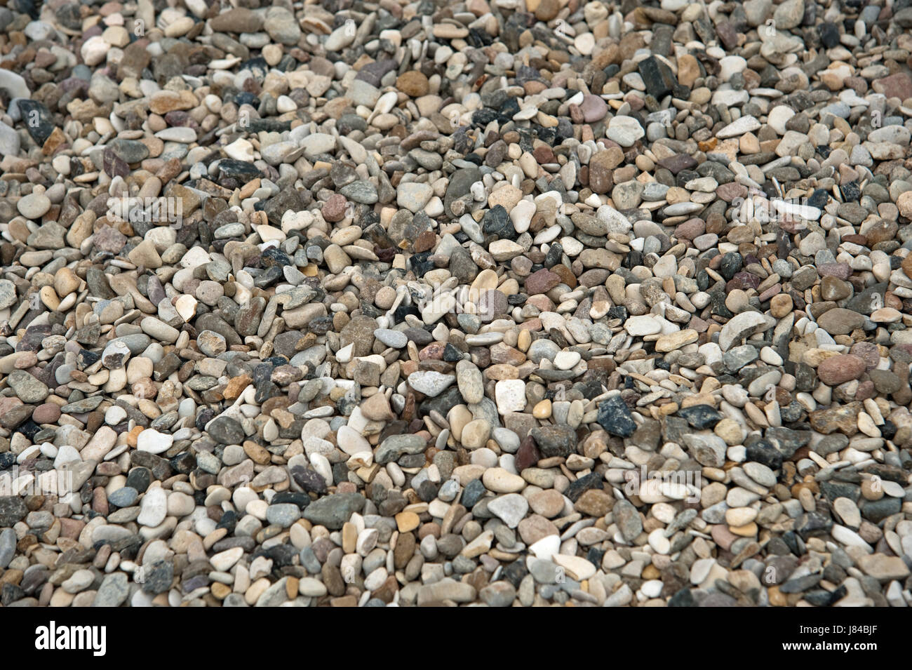 stone beach seaside the beach seashore pool accumulation silicic ...