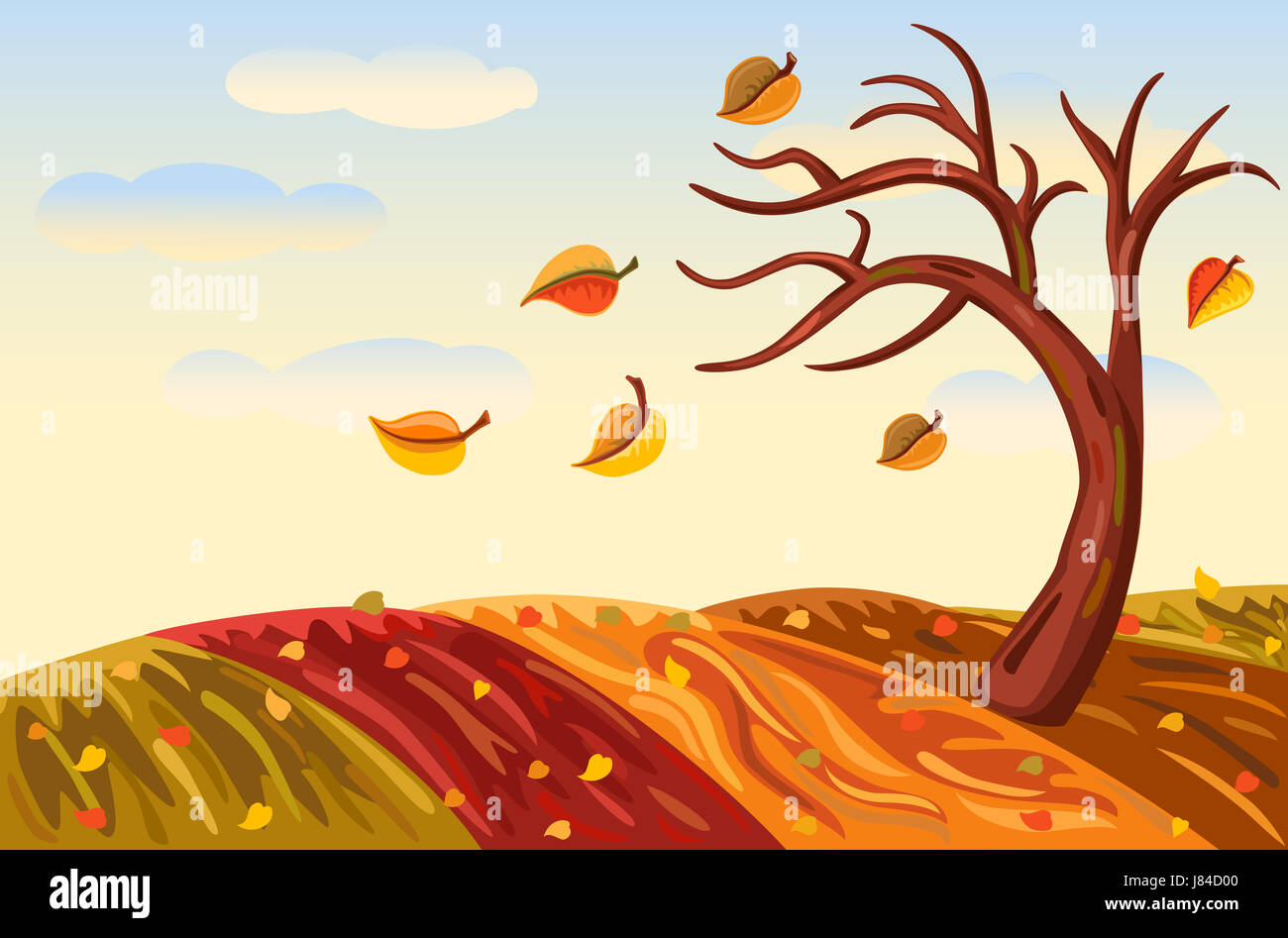 tree leaves landscape scenery countryside nature foliage fall autumn ...