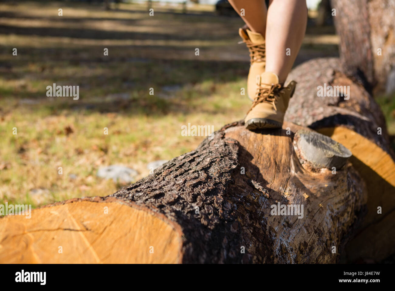 Low-section of woman walking on tree trunk in the park Stock Photo - Alamy