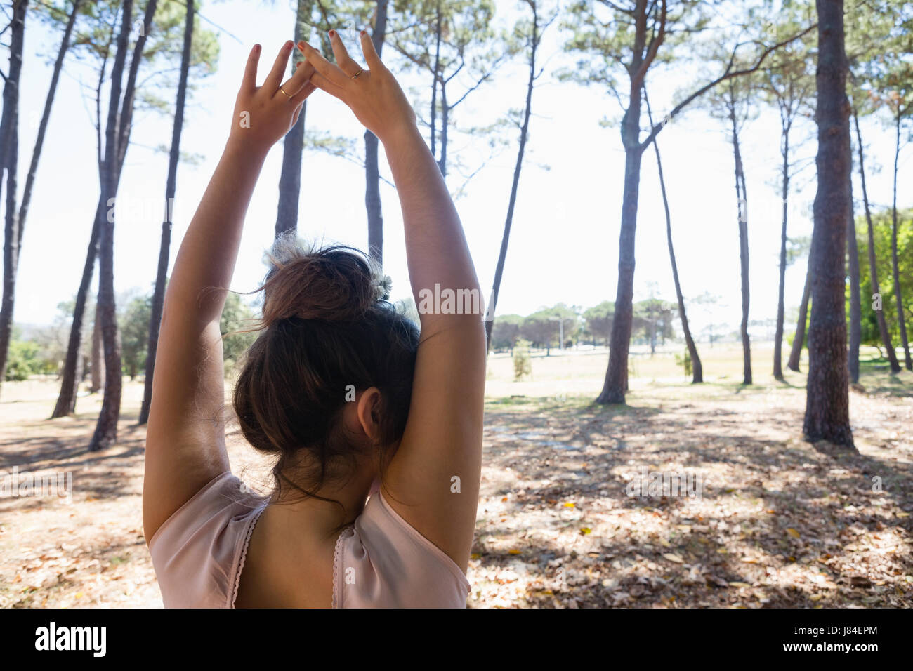 Rear view of woman standing with arms up in the park Stock Photo - Alamy