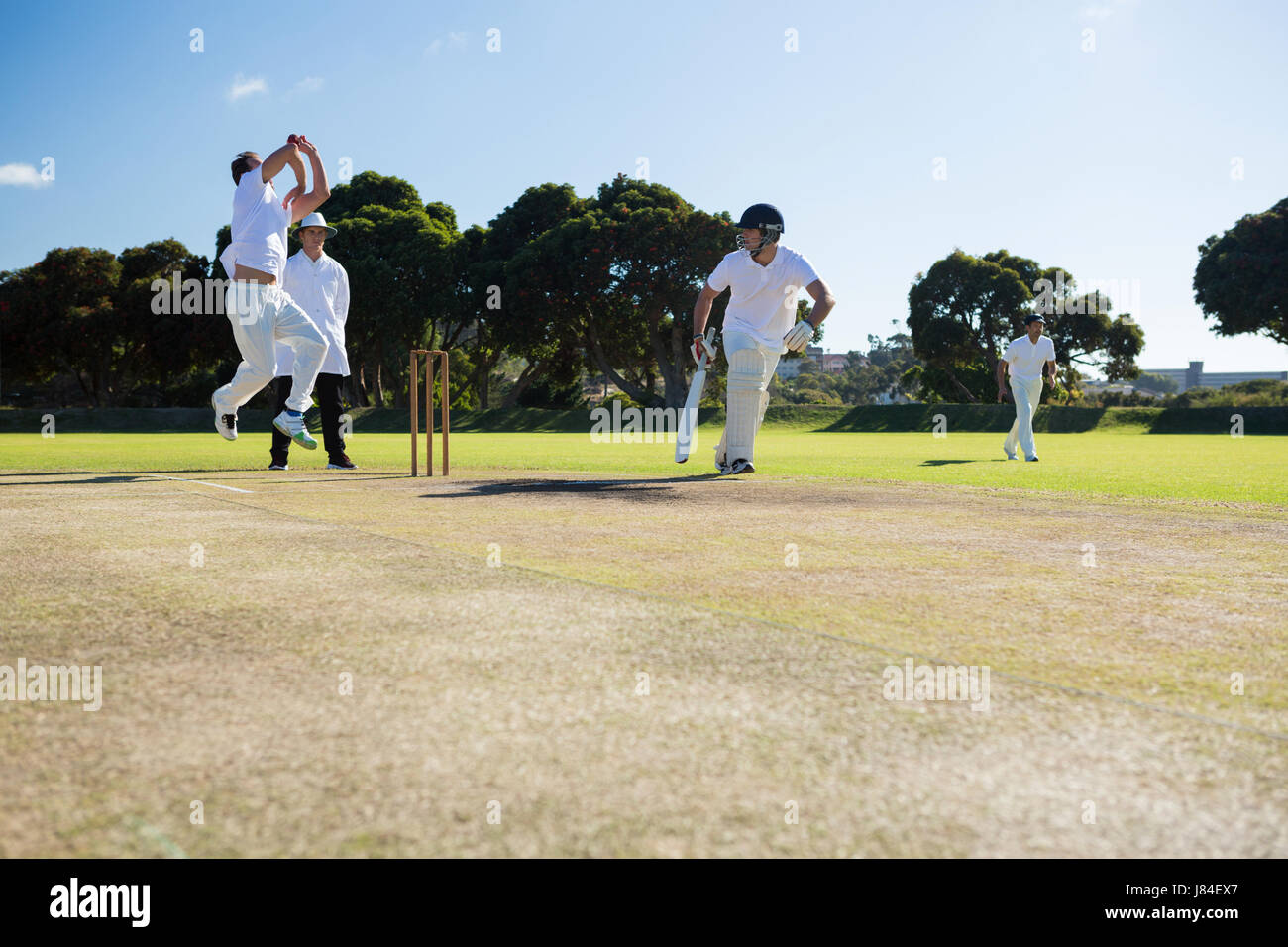 Professional cricket players hi-res stock photography and images - Alamy