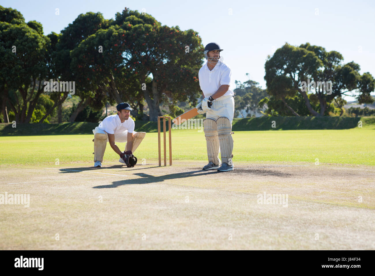 Men playing cricket at hi-res stock photography and images - Alamy