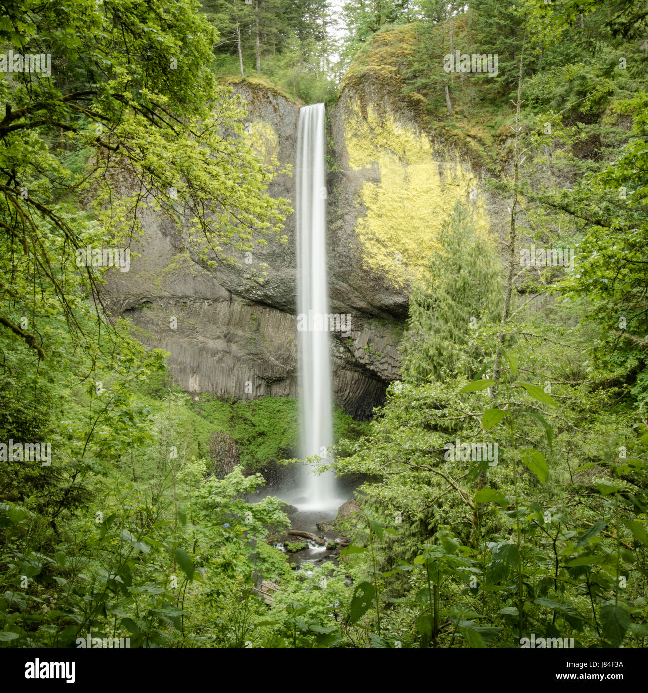 Latourell Falls in the spring Stock Photo - Alamy