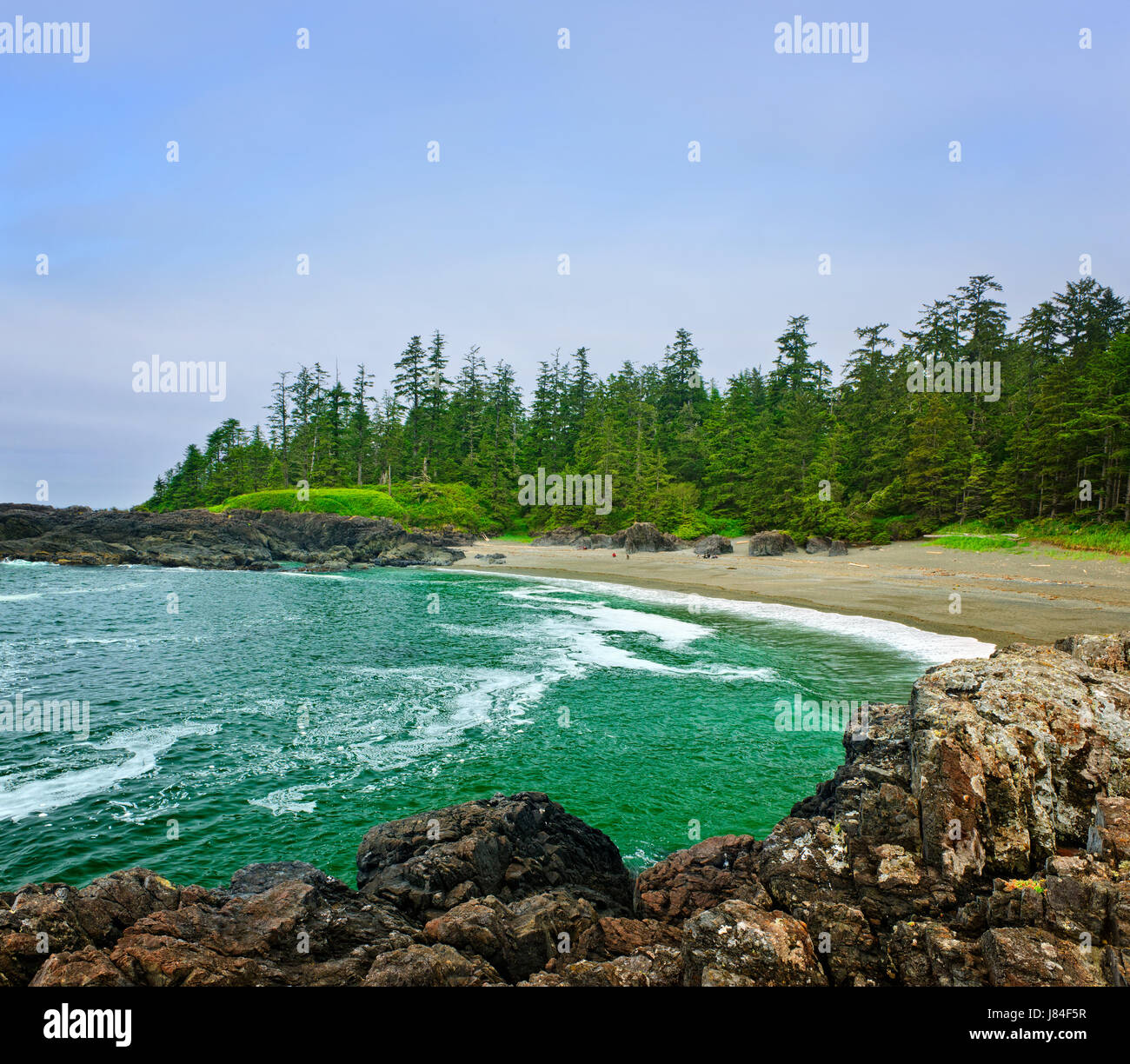 beach seaside the beach seashore canada pacific salt water sea ocean ...