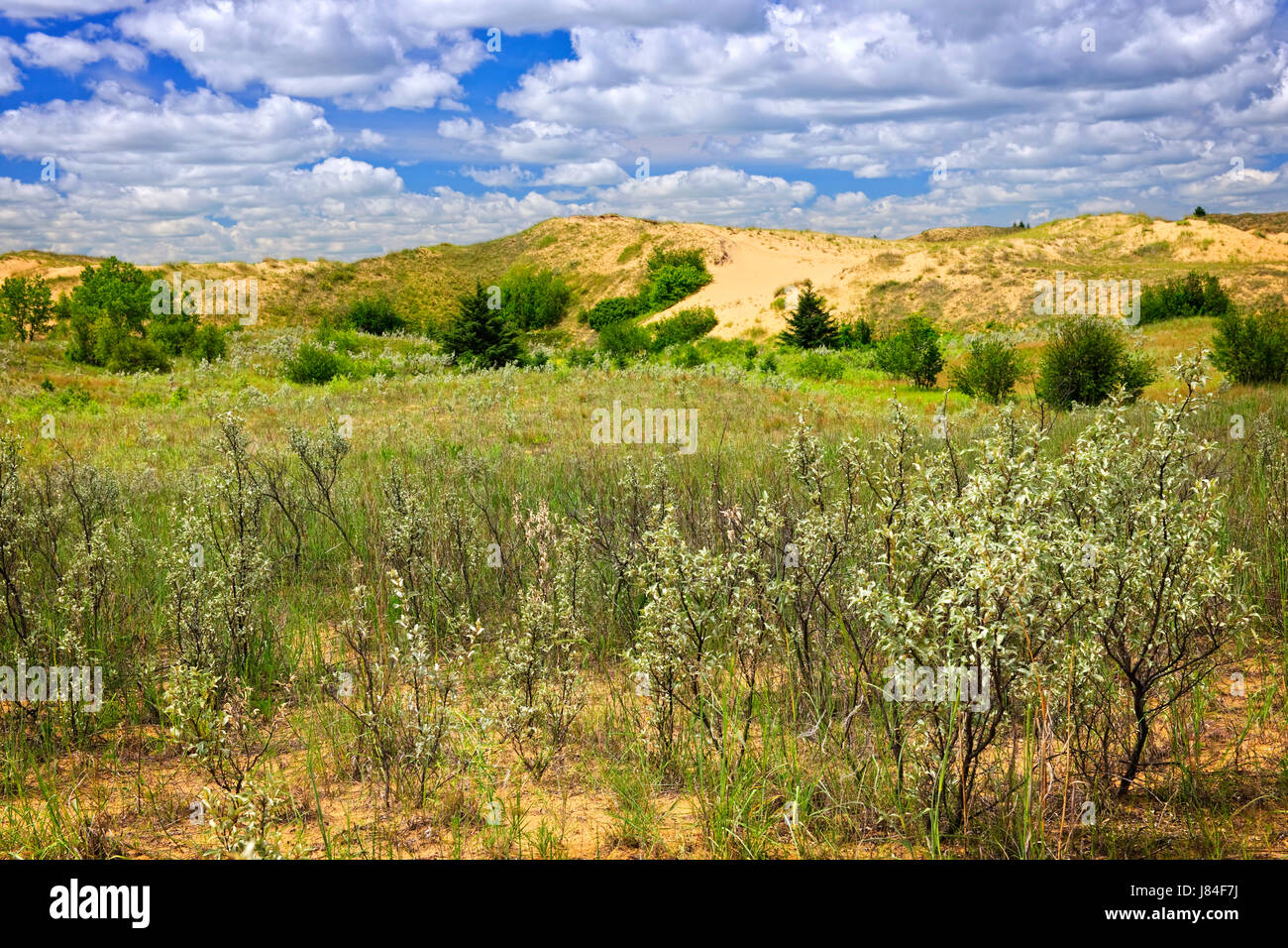 desert wasteland dunes spirit landscape scenery countryside nature ...