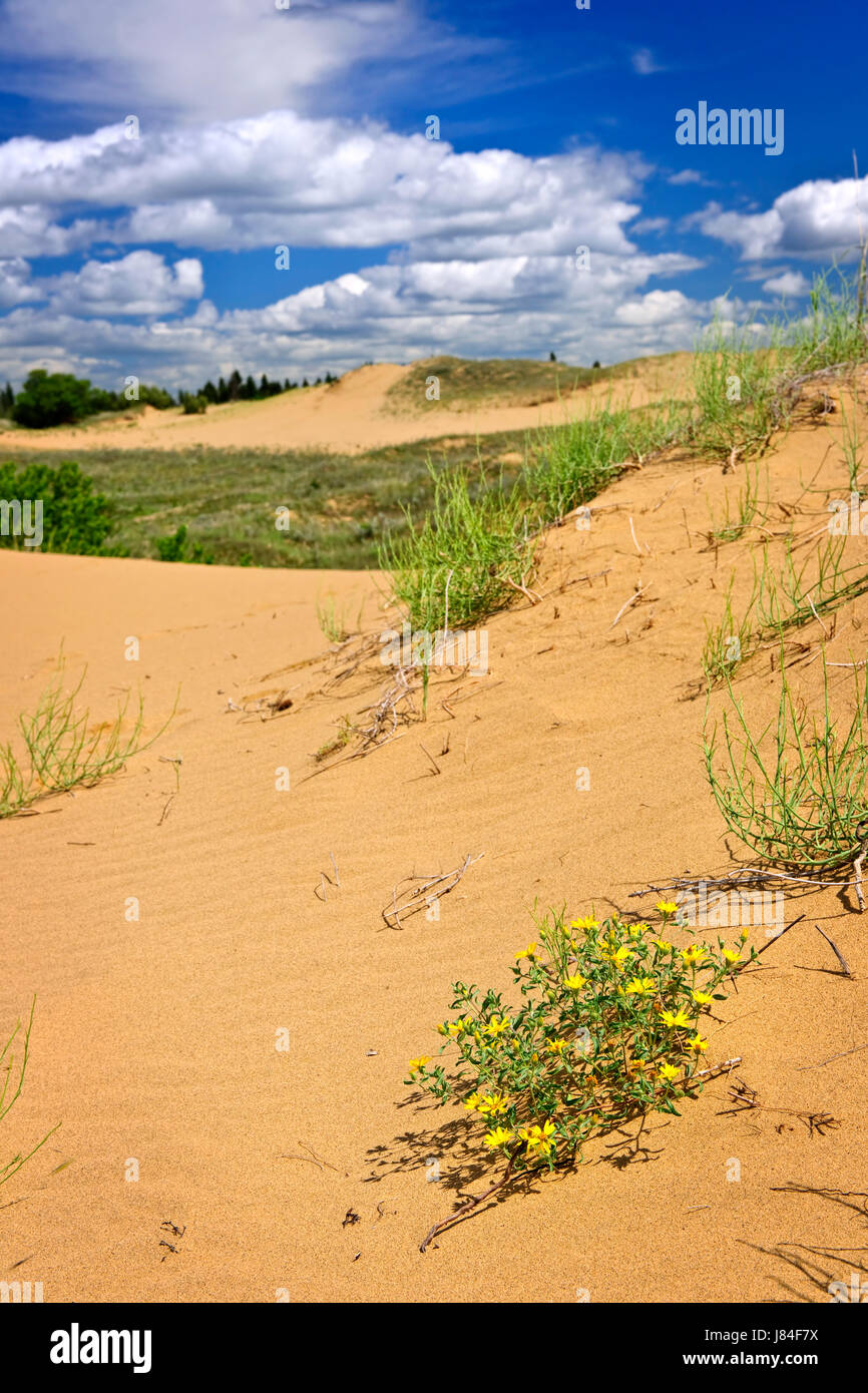 dunes spirit landscape scenery countryside nature sandy prairie sands ...