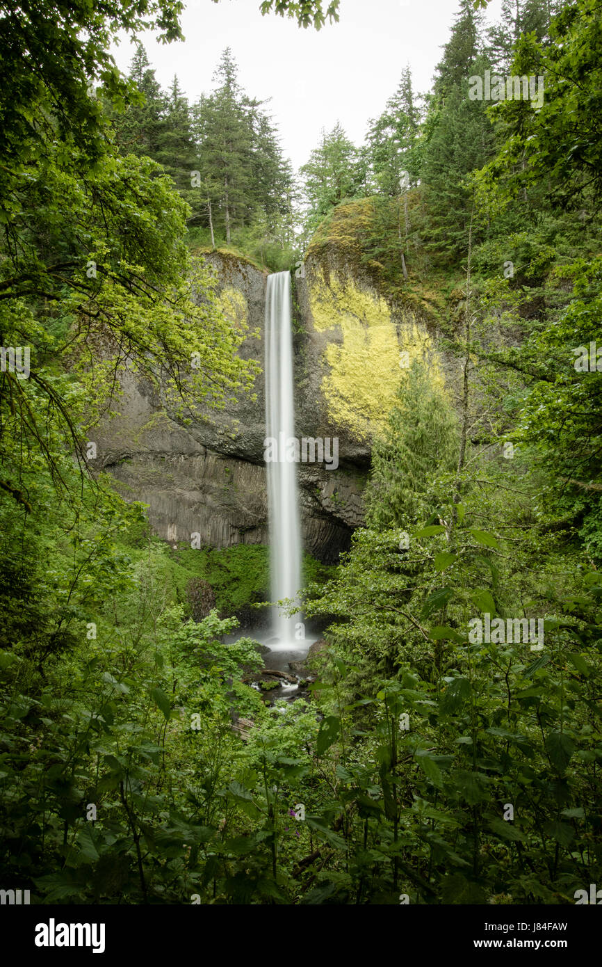 Latourell Falls in the spring Stock Photo - Alamy