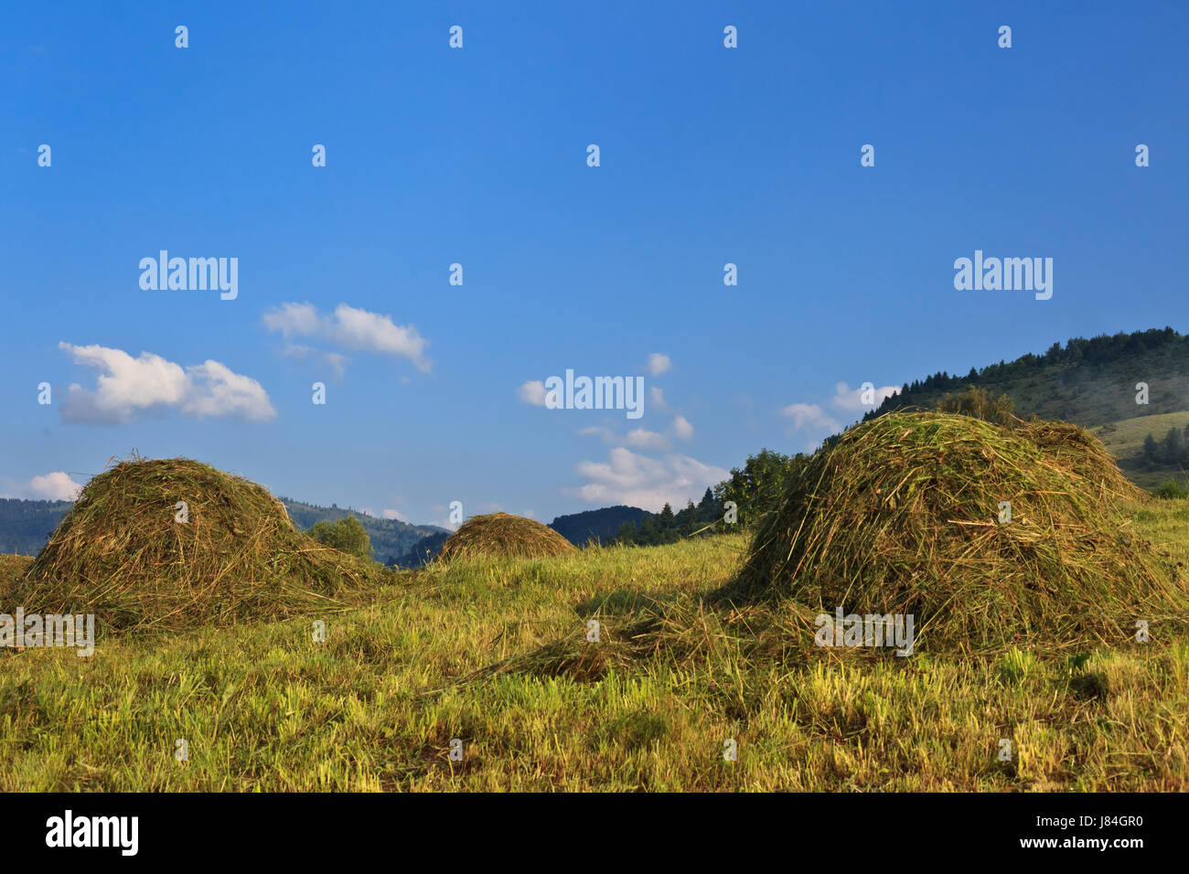 blue environment enviroment agriculture farming field sunlight outdoor ...