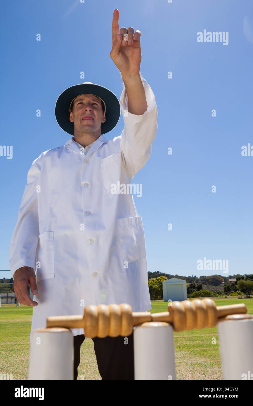 Cricket umpire finger hi-res stock photography and images - Alamy