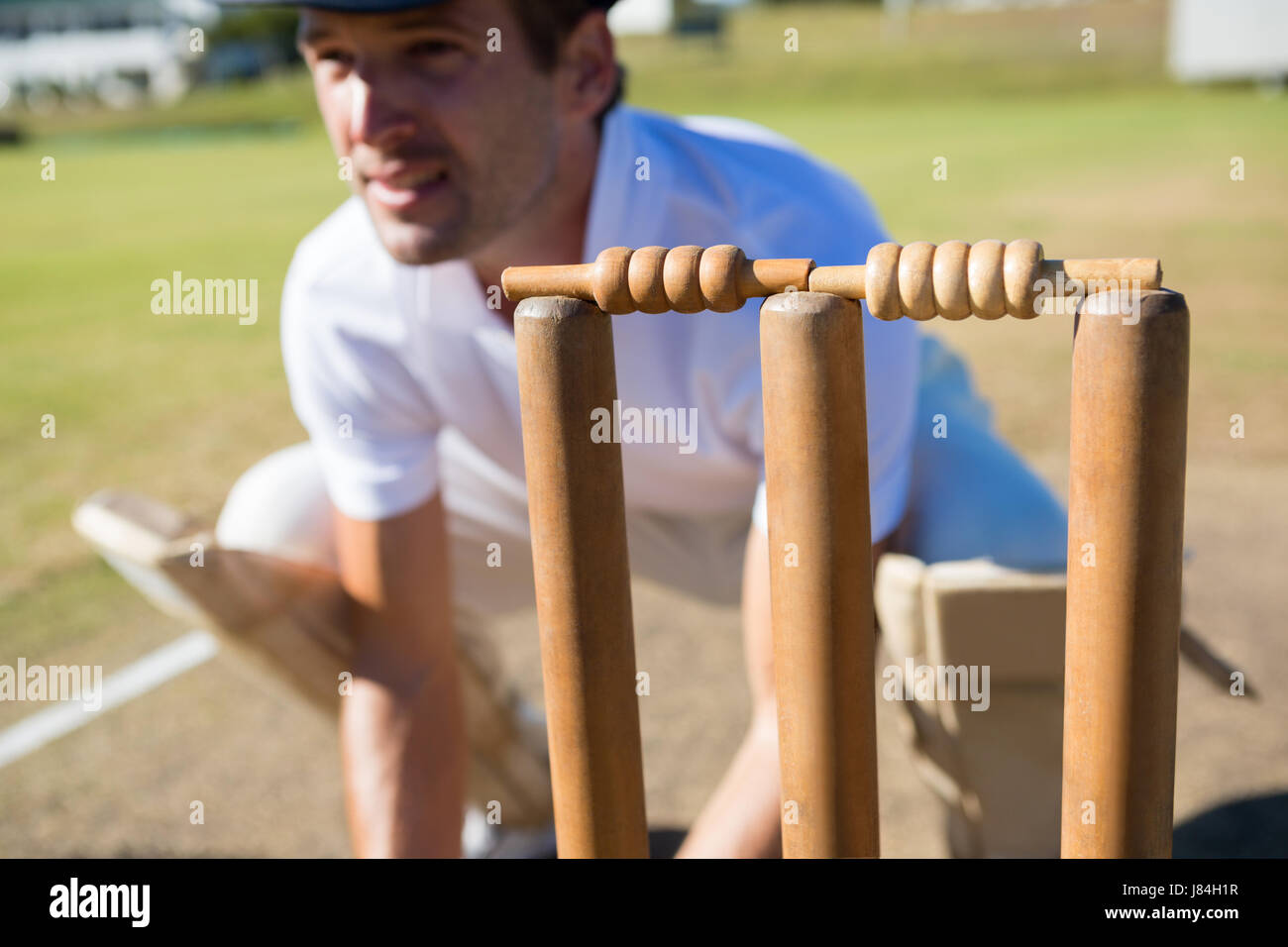 Cricket bat and stumps close up hi-res stock photography and images - Alamy