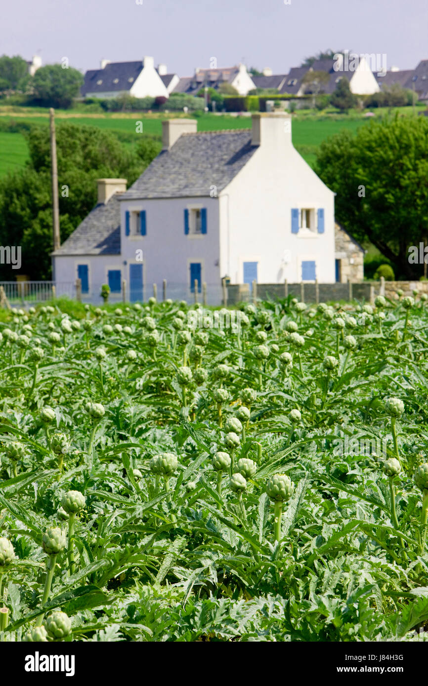 style of construction architecture architectural style agriculture ...