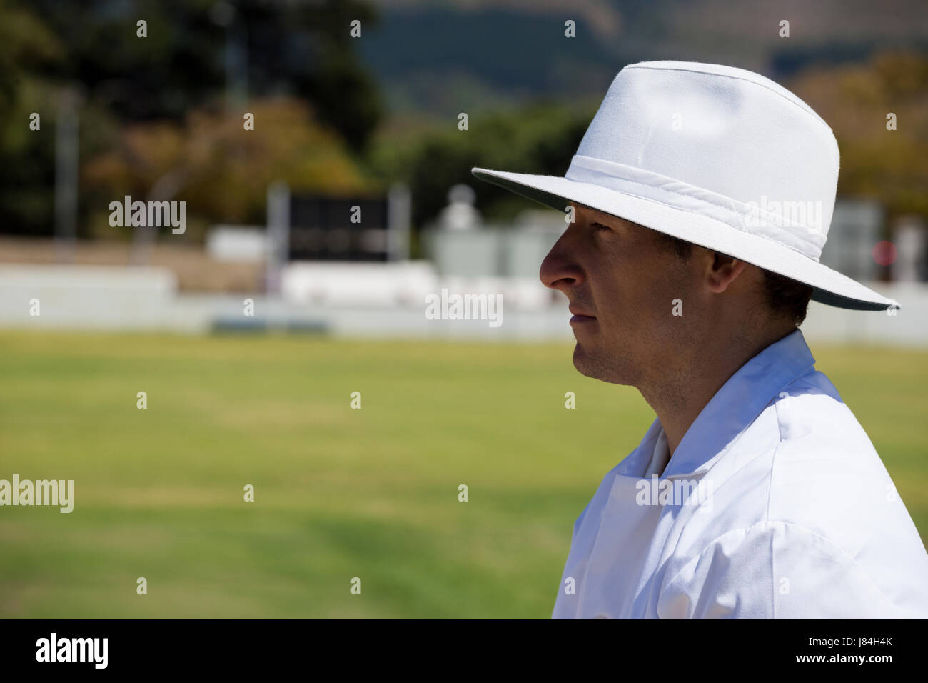 Cricket profile hi-res stock photography and images - Alamy