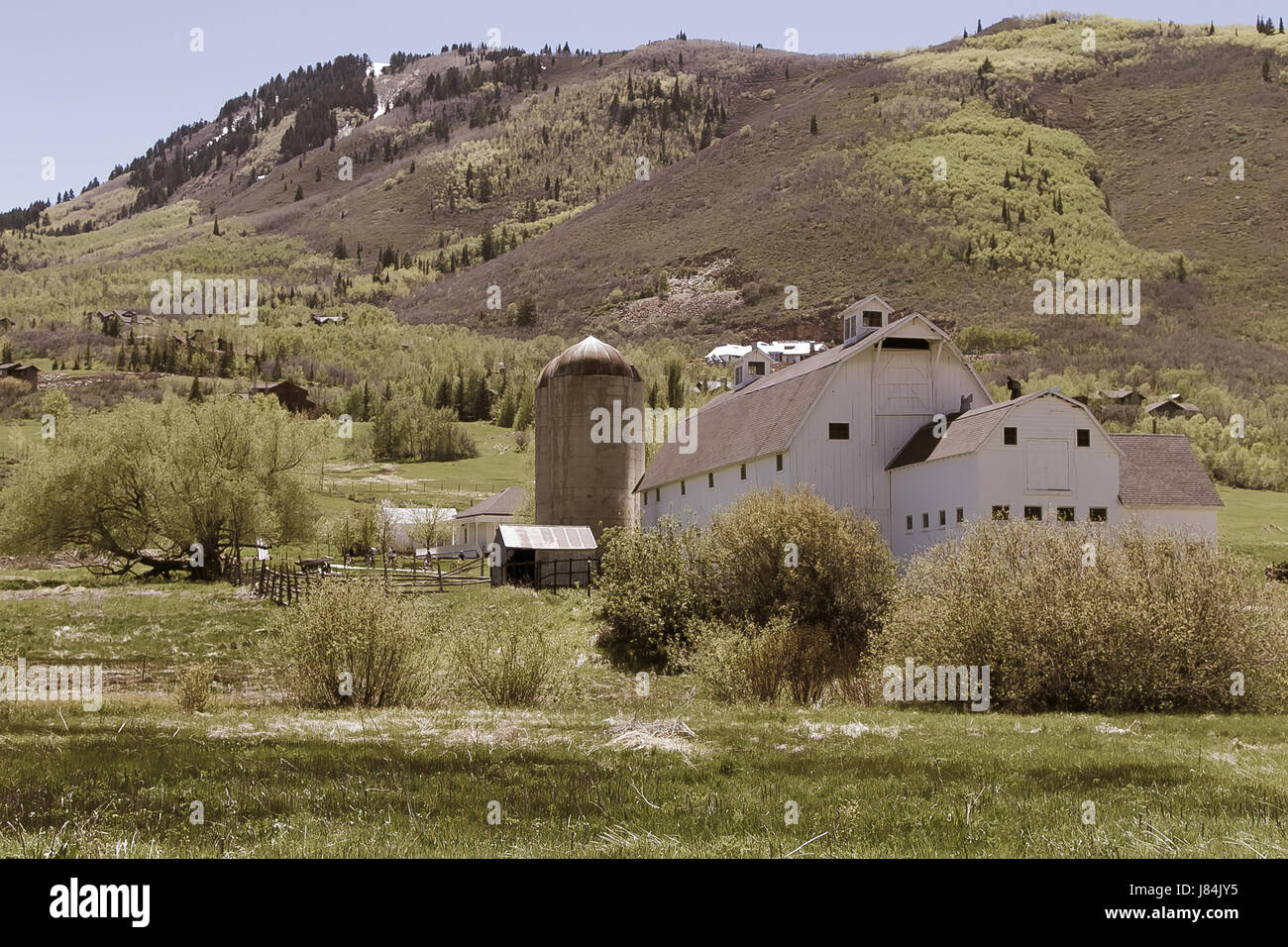 Vintage barn with silos. Stylized post-processing Stock Photo - Alamy
