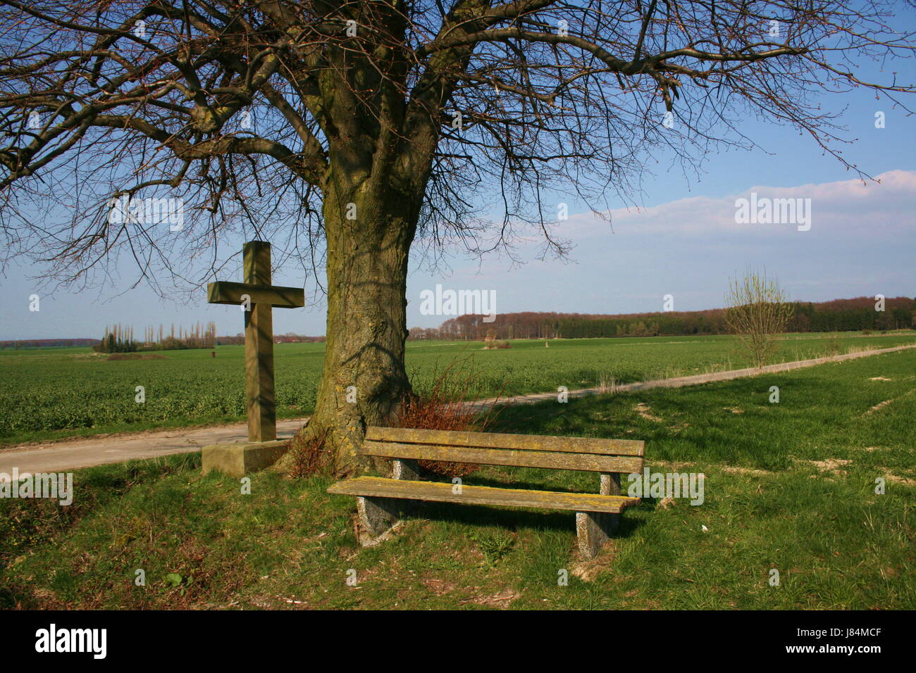 religion mourning sorrow seat bench blue religion religious tree trees ...