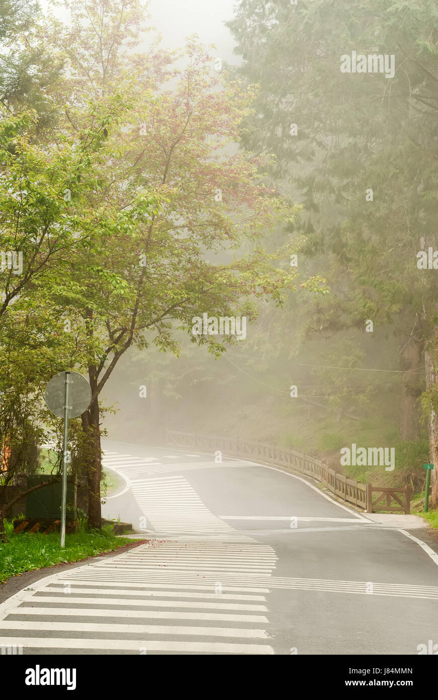 outdoor route scenic road street scenery countryside nature pathway ...