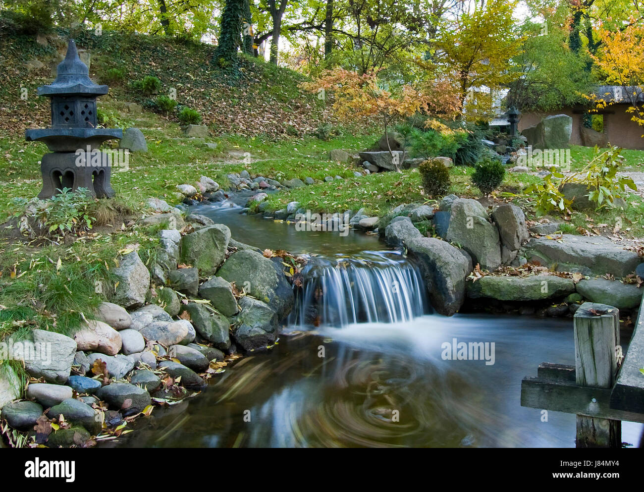 tree steps step stream waterfall natural phenomenon splash water motion ...