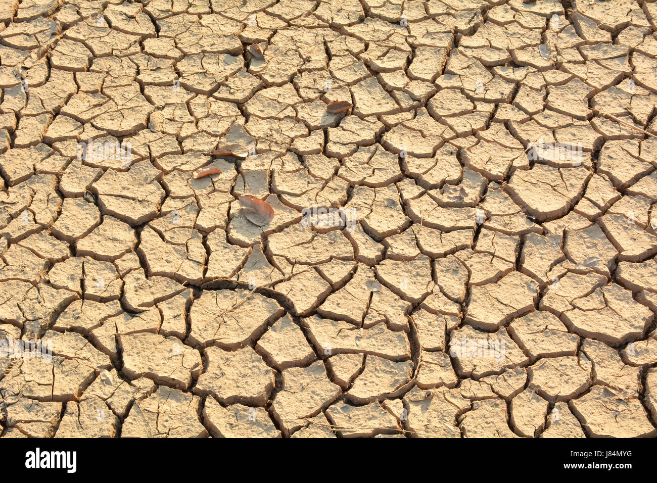 Dry areas hi-res stock photography and images - Alamy