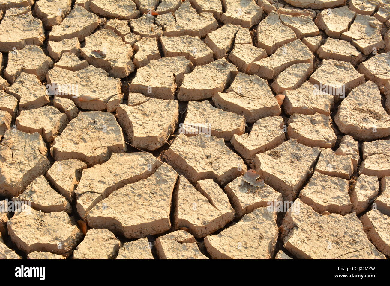 Dry areas hi-res stock photography and images - Alamy