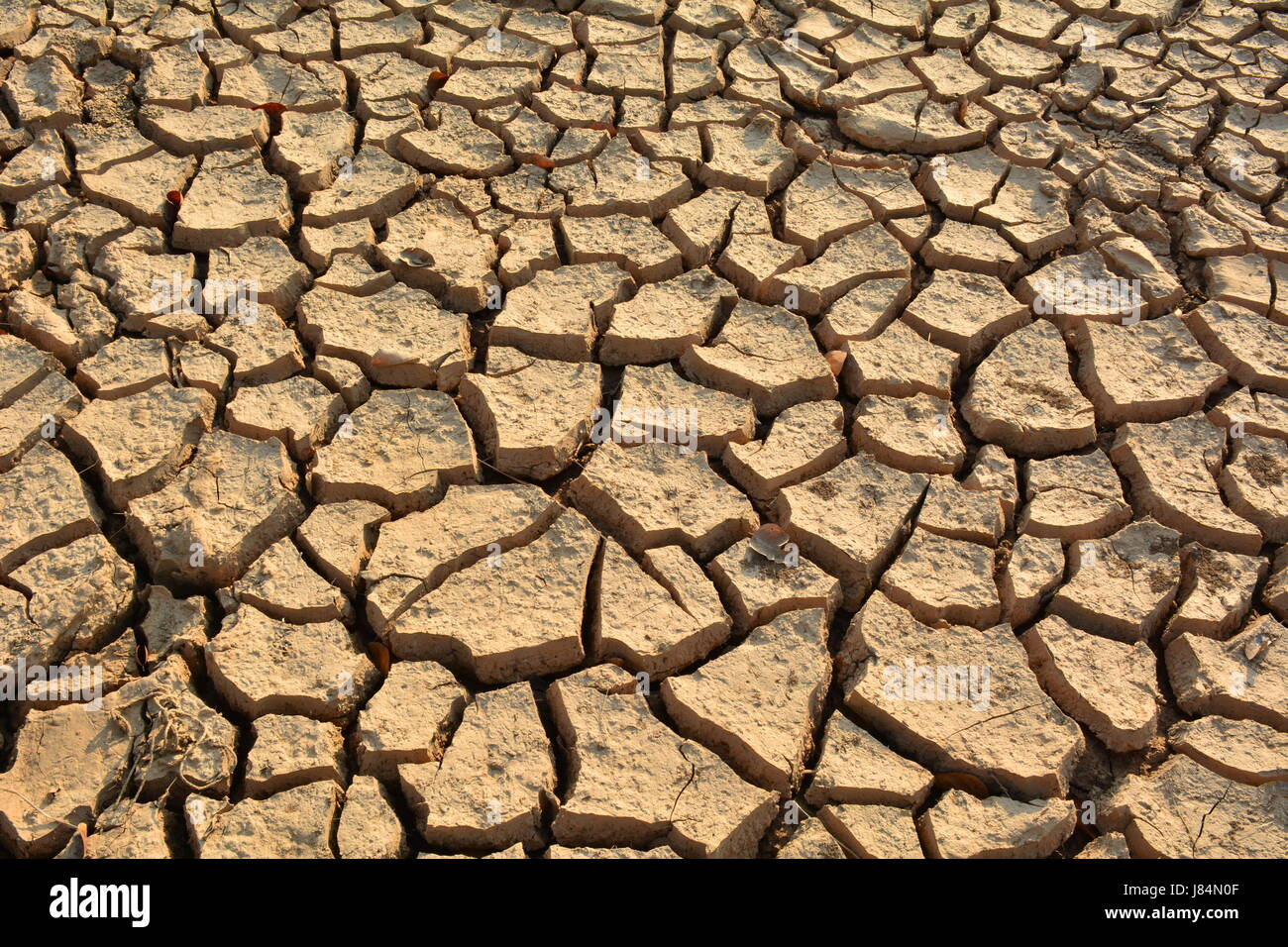 Dry areas hi-res stock photography and images - Alamy