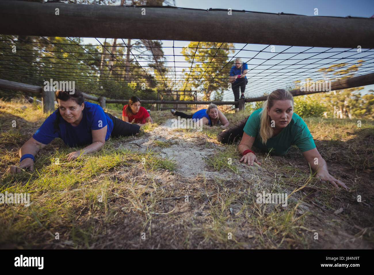 Crawling under tree hi-res stock photography and images - Alamy