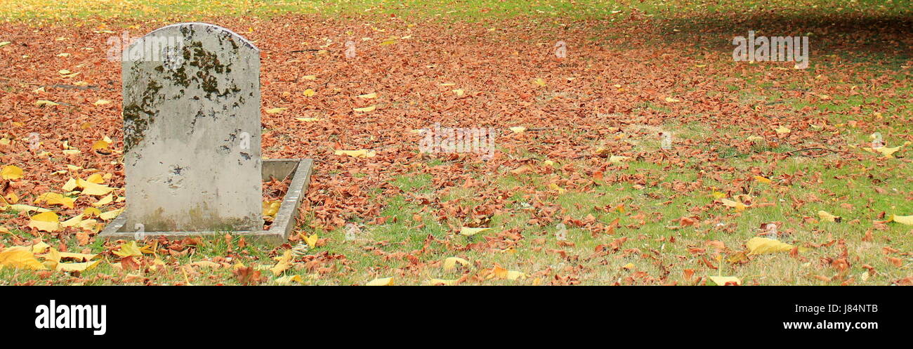 leaves cemetery gravestone tombstone tomb graveyard foliage fall autumn ...