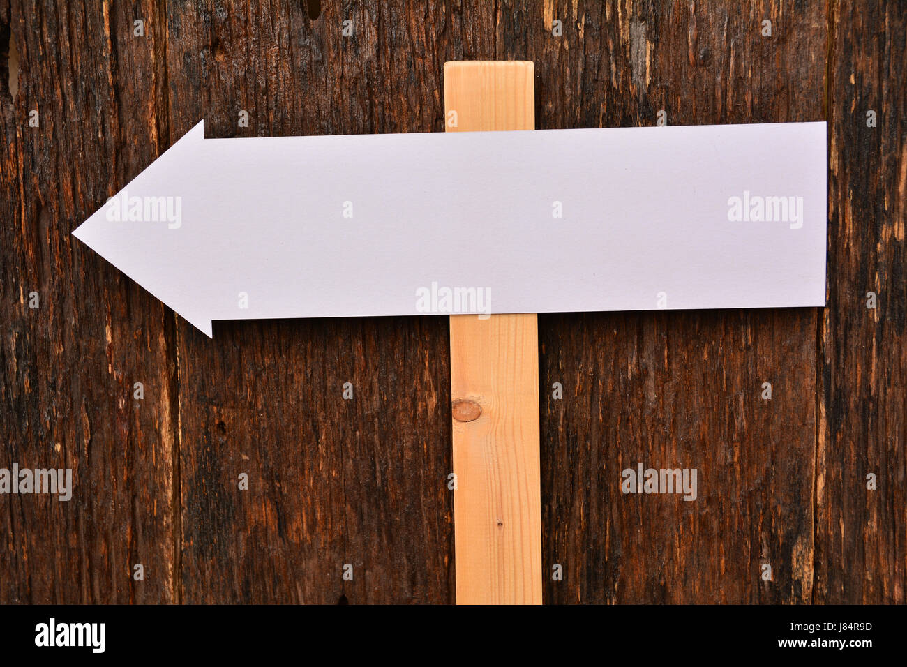 White blank signs pointing in directions nature back ground Stock Photo ...