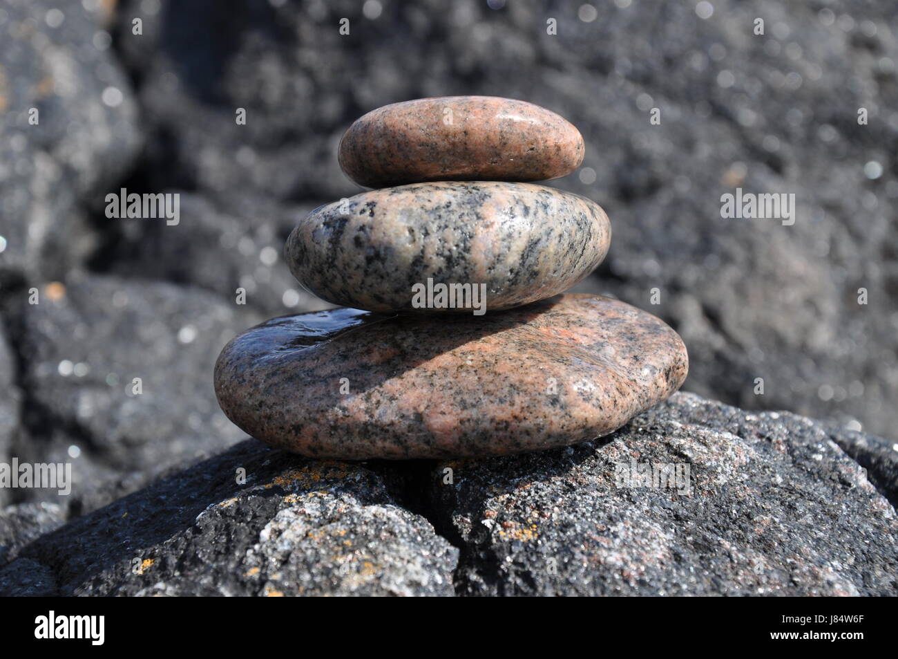 ghost think thoughts screen saver positive photo picture image copy ...
