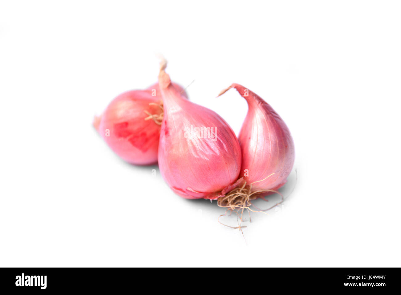 fresh and red shallots isolated on white background Stock Photo - Alamy