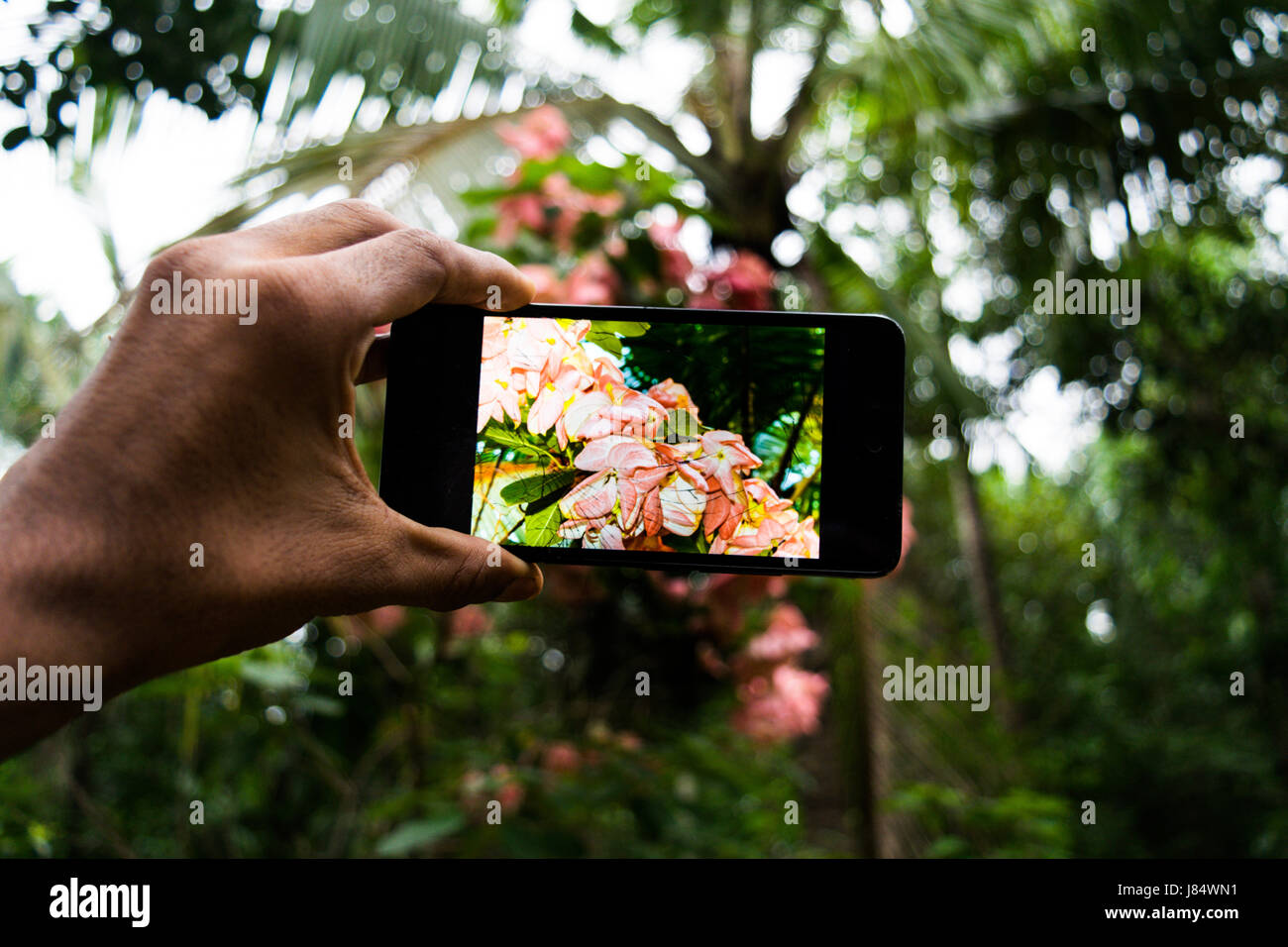 Shooting on mobile phone hi-res stock photography and images - Alamy