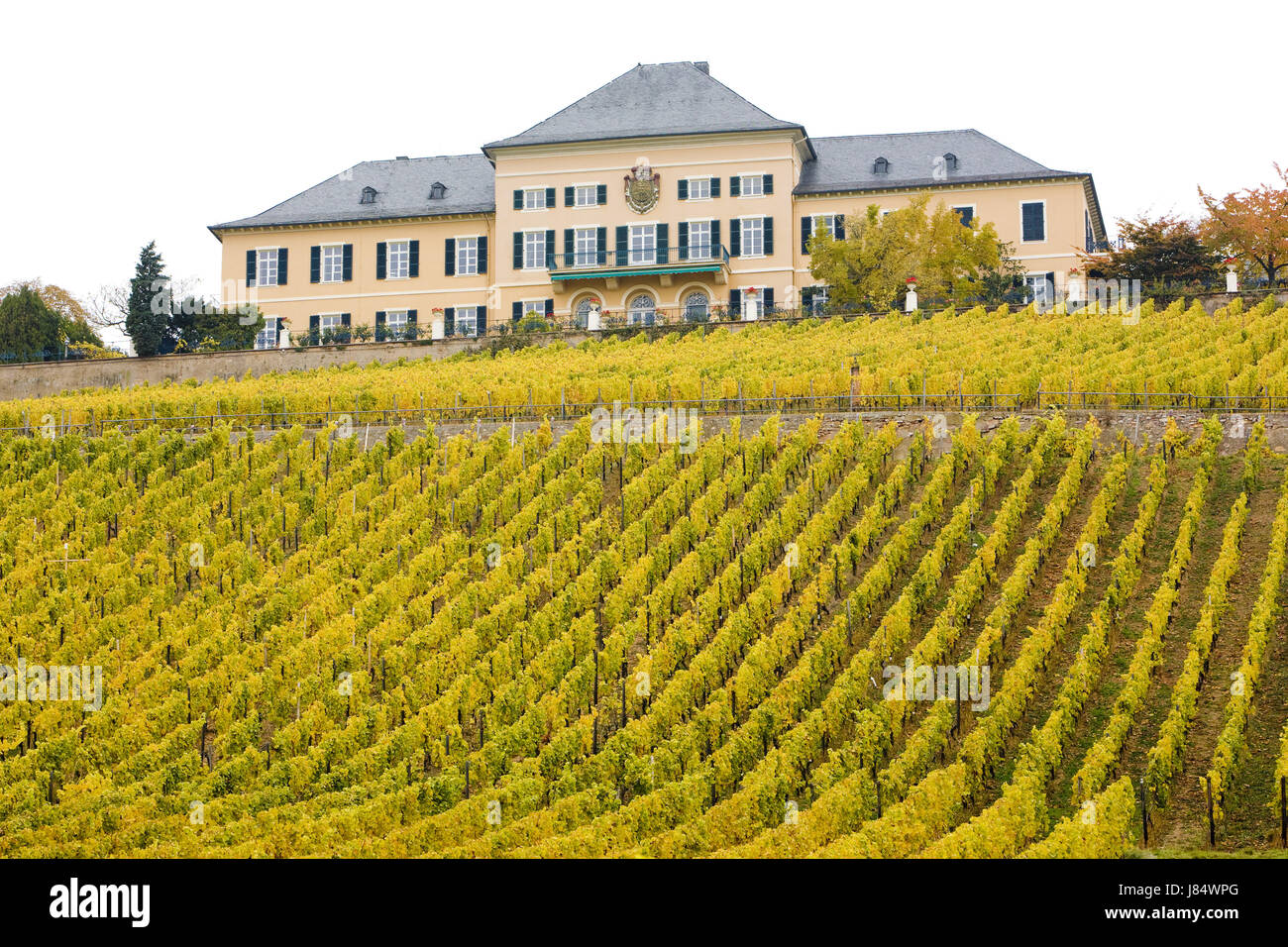 travel historical agriculture farming sights vineyards europe autumnal ...