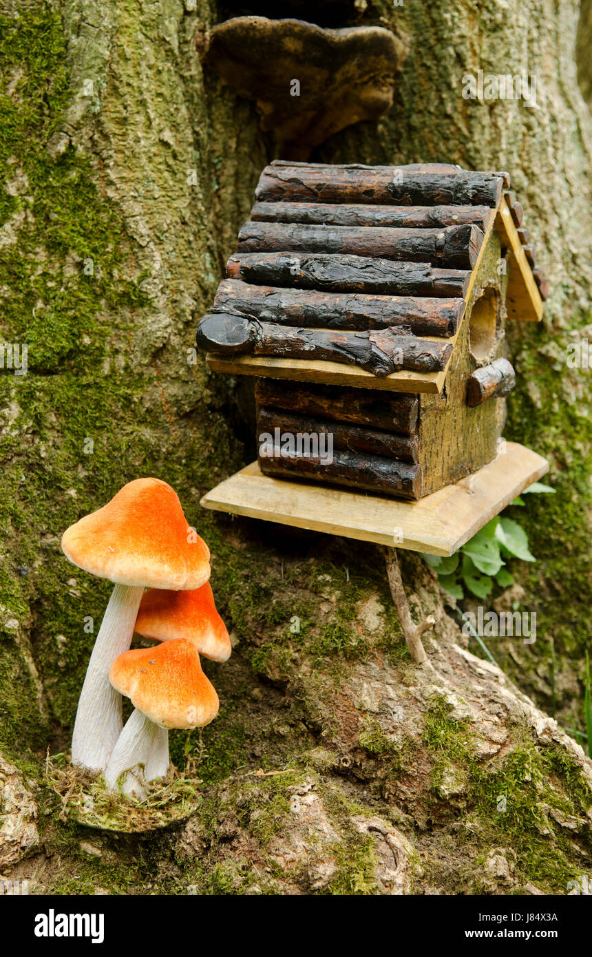 house building detail wood outdoor mushroom fungus rural scenery ...