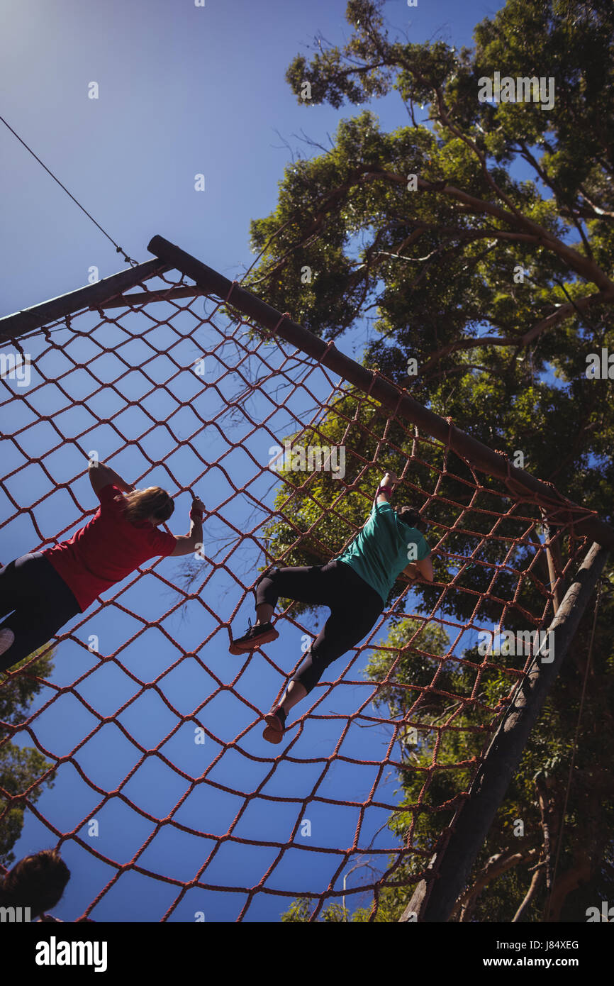 Group of fit woman climbing a net during obstacle course training in ...