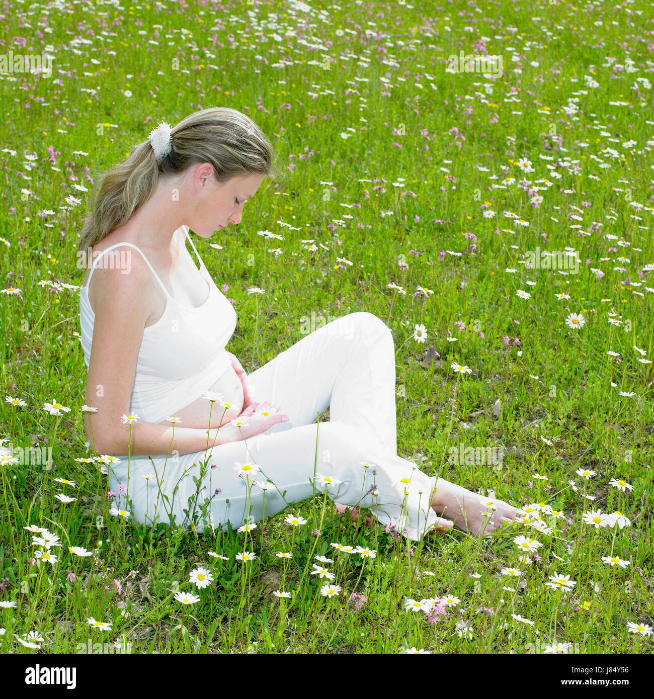 woman woman humans human beings people folk persons human human being ...
