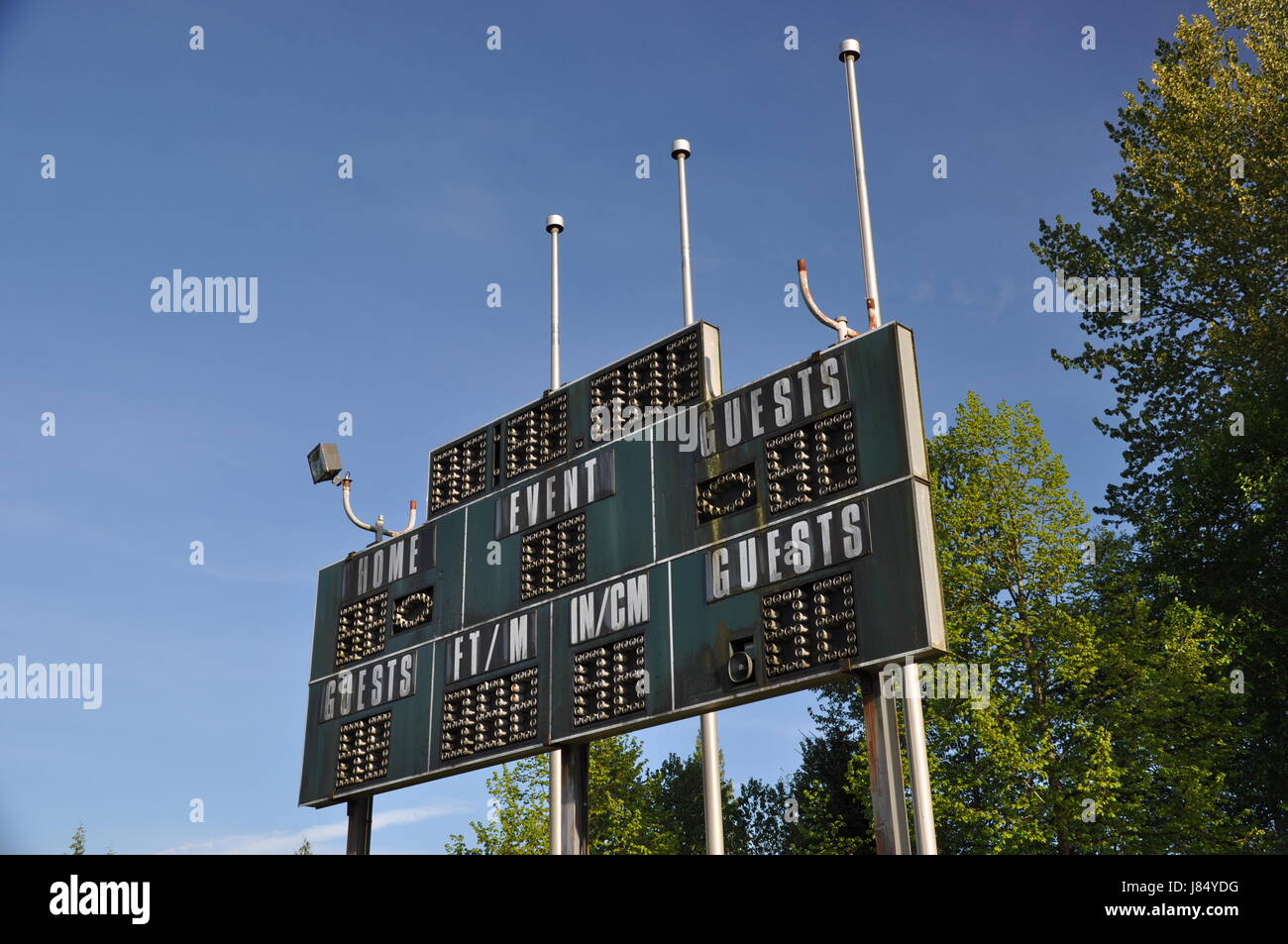 board sport sports tree flora stadium score soccer football nature ...