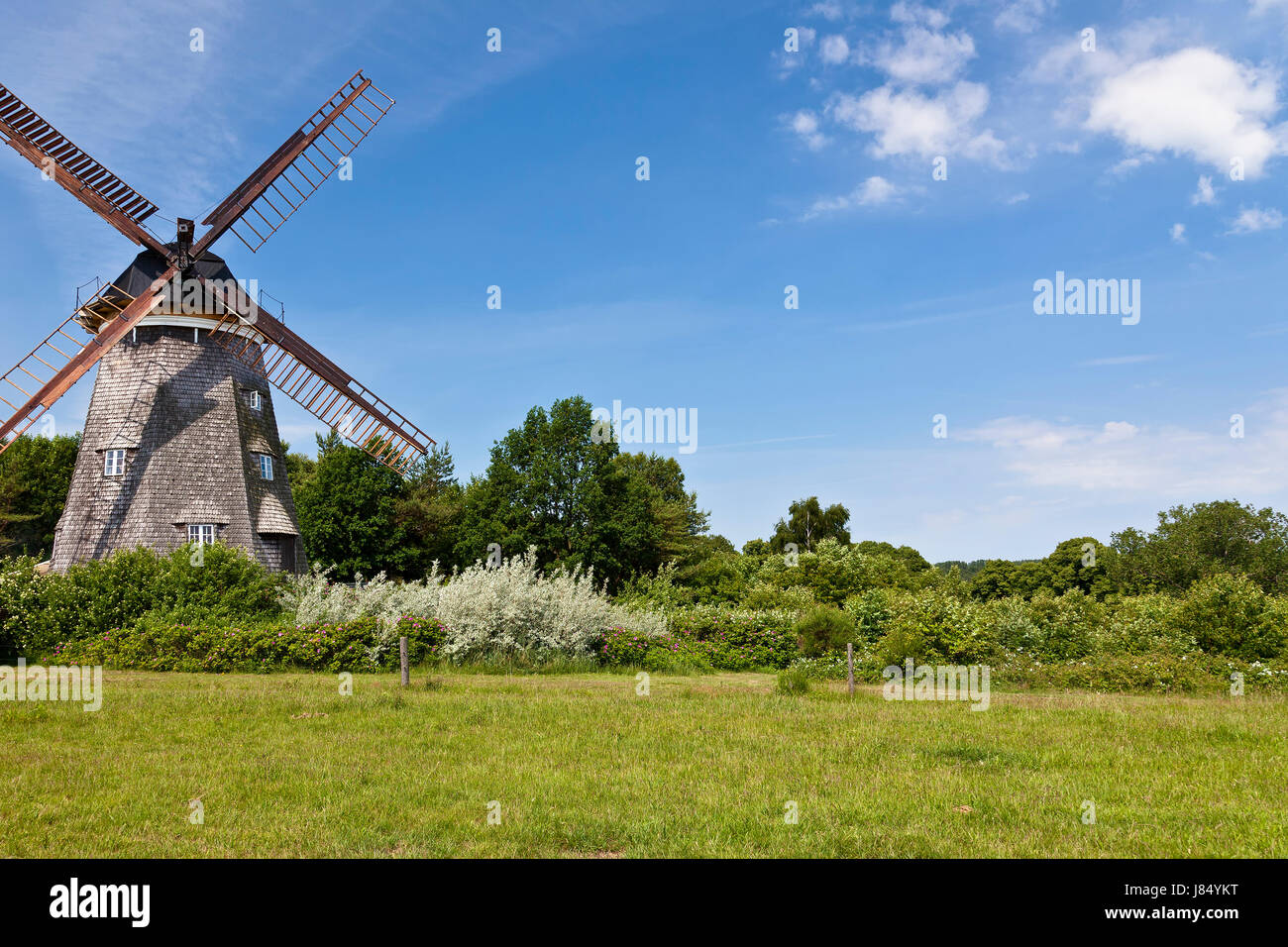 dutch mill on the island of usedom Stock Photo - Alamy