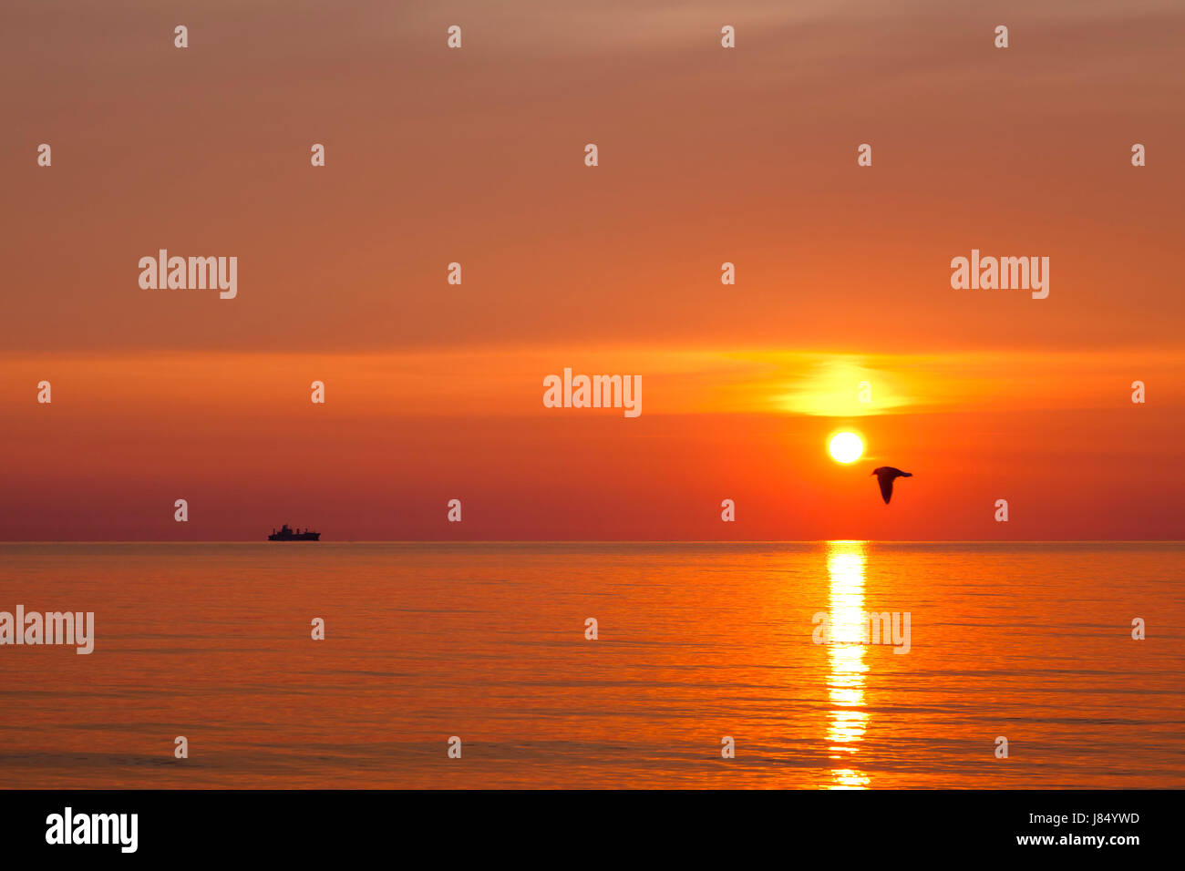 sunrise water baltic sea salt water sea ocean red sky shaddow shadow ...