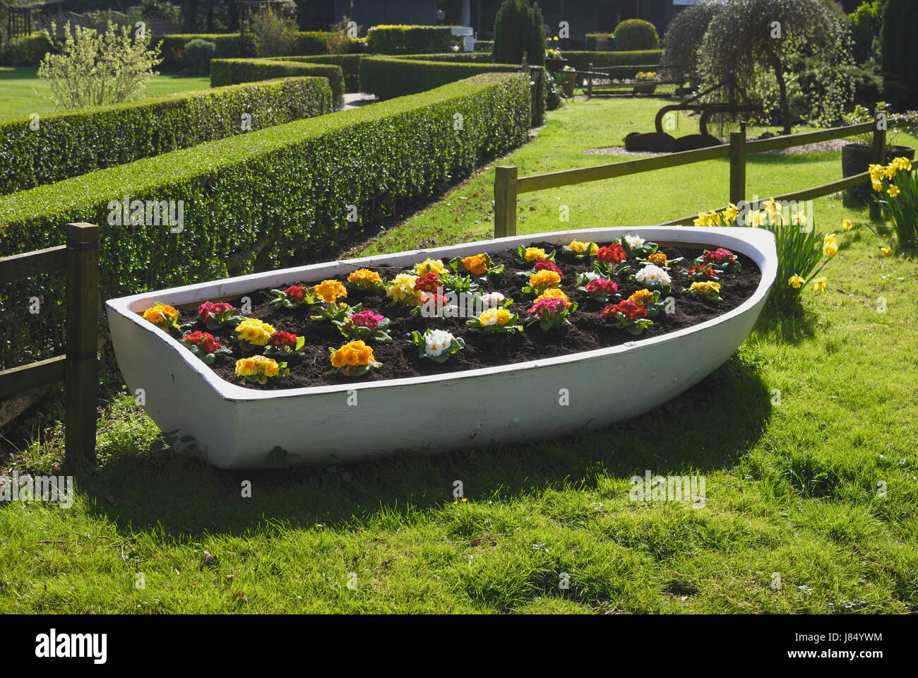 flower flowers plant hedge boat meadow grass lawn green floral rowing ...