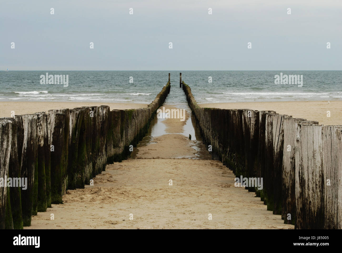 coast tides tide salt water sea ocean water wood beach seaside the ...