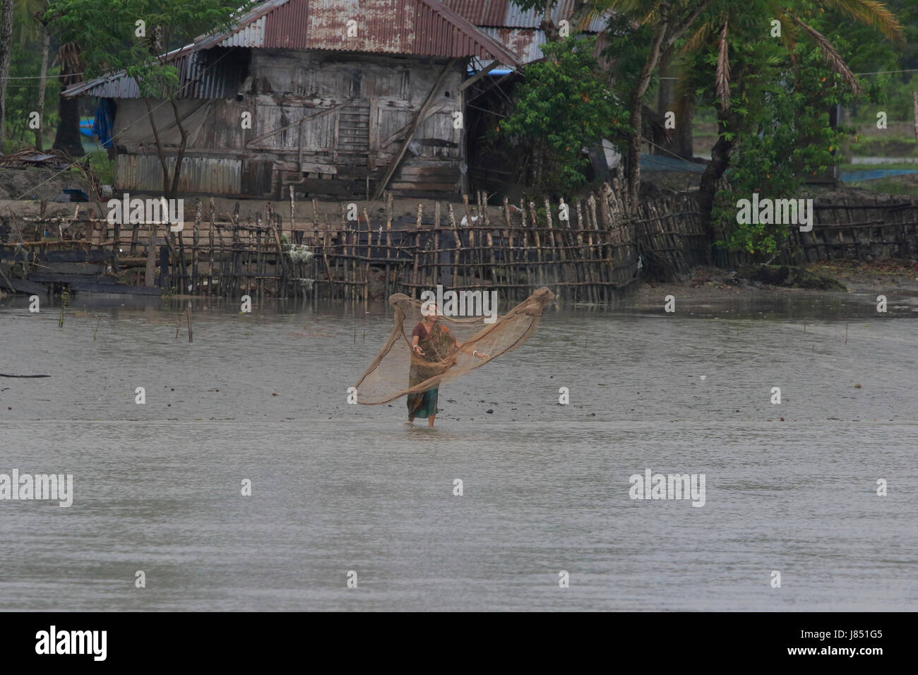 A woman catches fish at a canal in the Sunderbans, a UNESCO World ...