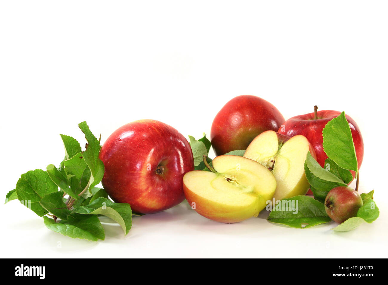 apple tree fruit apples apple flavour diet page sheet cocktail long ...