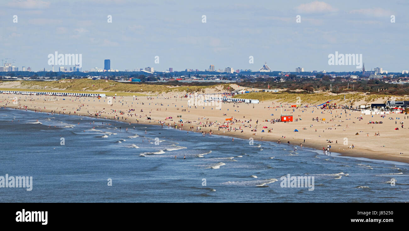 humans human beings people folk persons human human being beach seaside ...