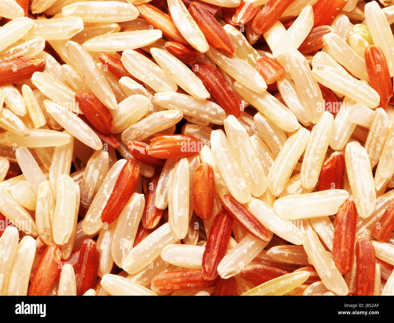 vegetable raw uncooked unpolished starch carbohydrate rice food aliment ...