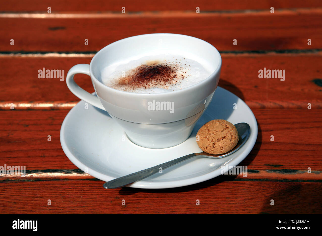 cafe cup bar tavern drink savoir vivre bear gastronomy enjoy coffee cup ...