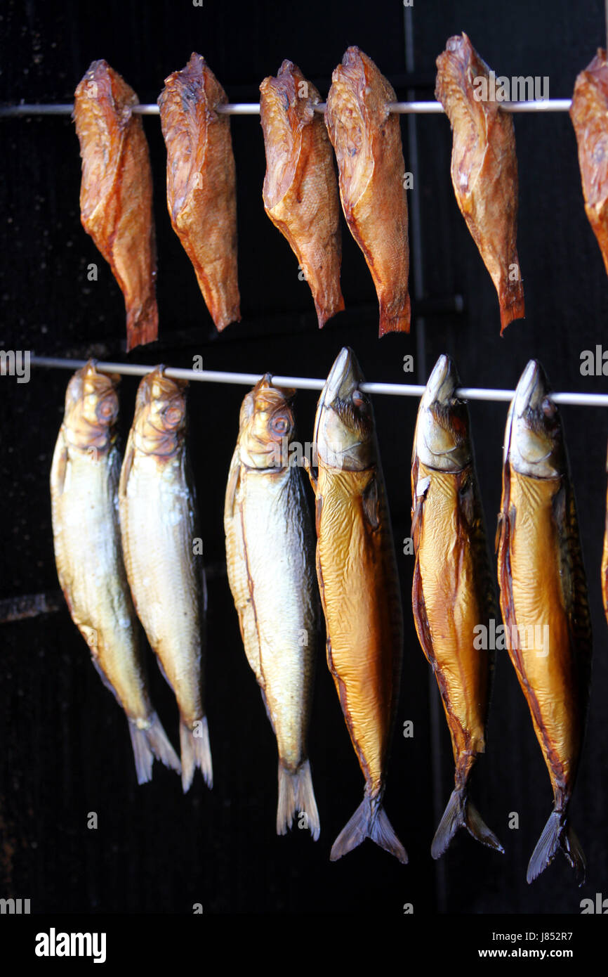 smoke smoking smokes fume food aliment brown brownish brunette fish ...