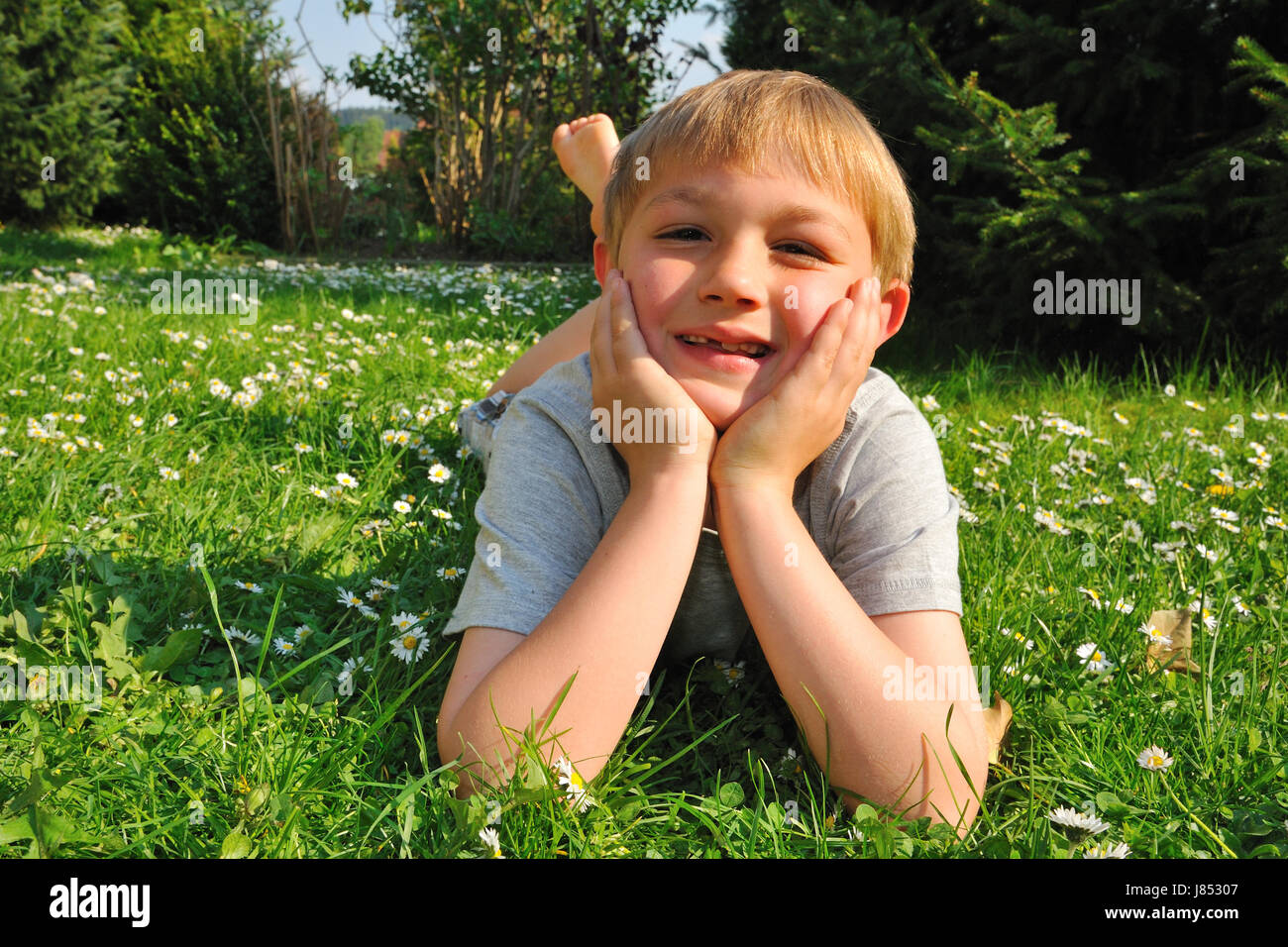 laugh laughs laughing twit giggle smile smiling laughter laughingly ...