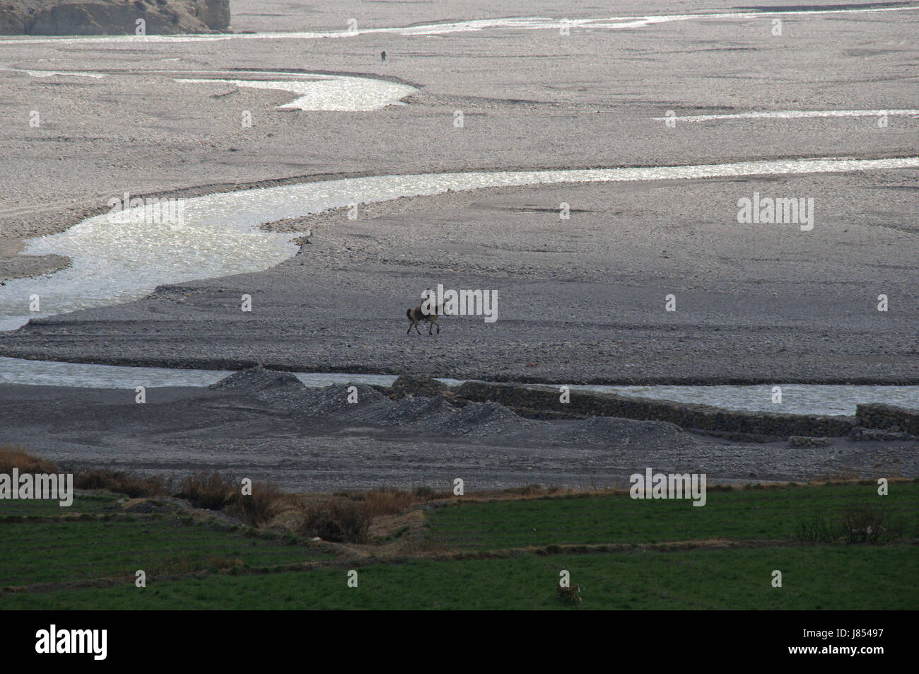 asia ravine river bed nepal mustang himalayas travel stone horse hike ...