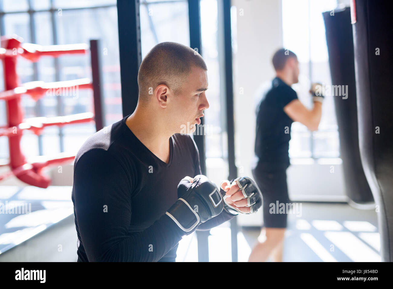 Mix fighters having workout in gym Stock Photo - Alamy